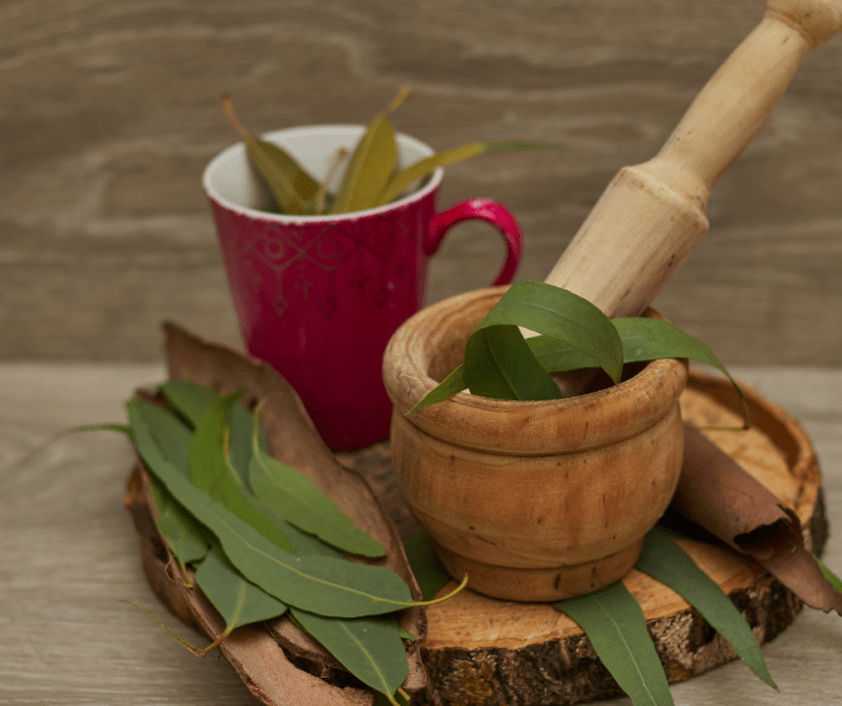 Chás medicinais promovem saúde e geram renda para agricultura familiar ...